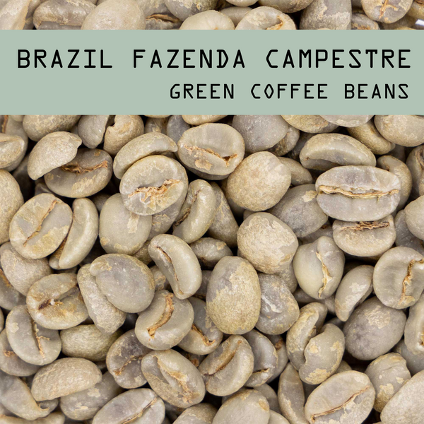 Green Coffee | Raw Coffee Beans | RAVE Coffee